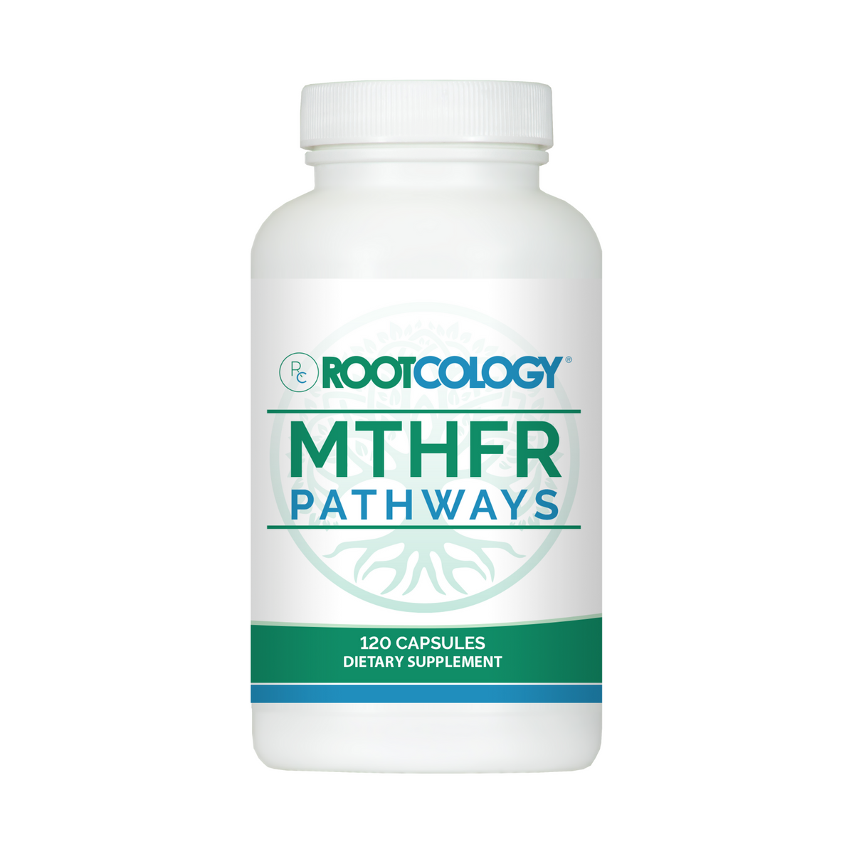 MTHFR Pathways – Rootcology